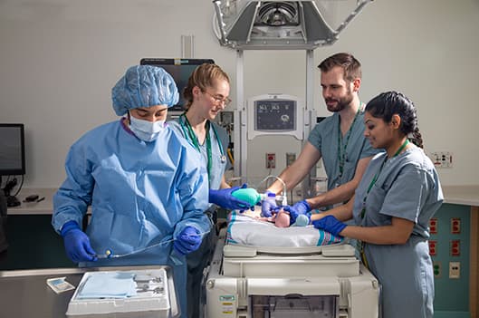 Neonatal-Perinatal Training | Rush University