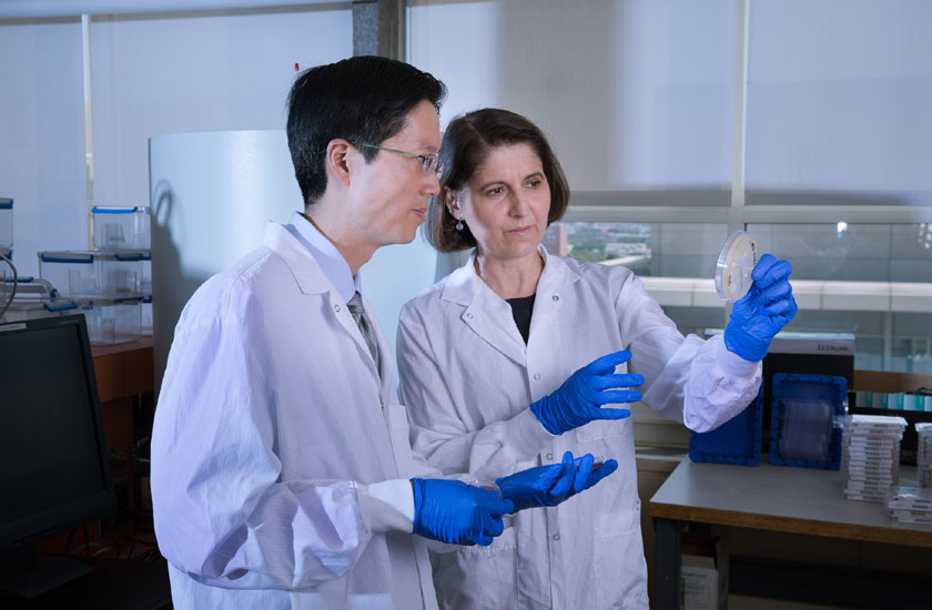 Decolonization Protocol Can Prevent Dangerous MRSA Infections Among ...