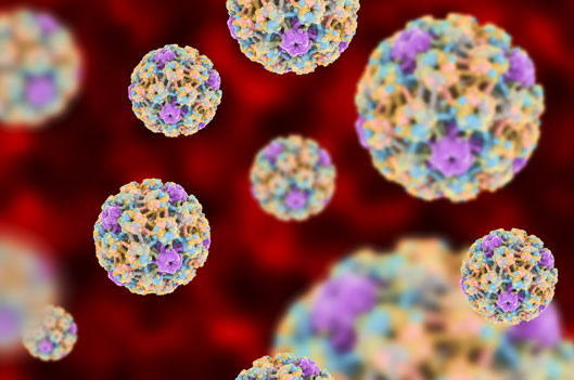 Protecting Yourself From HPV | RUSH University